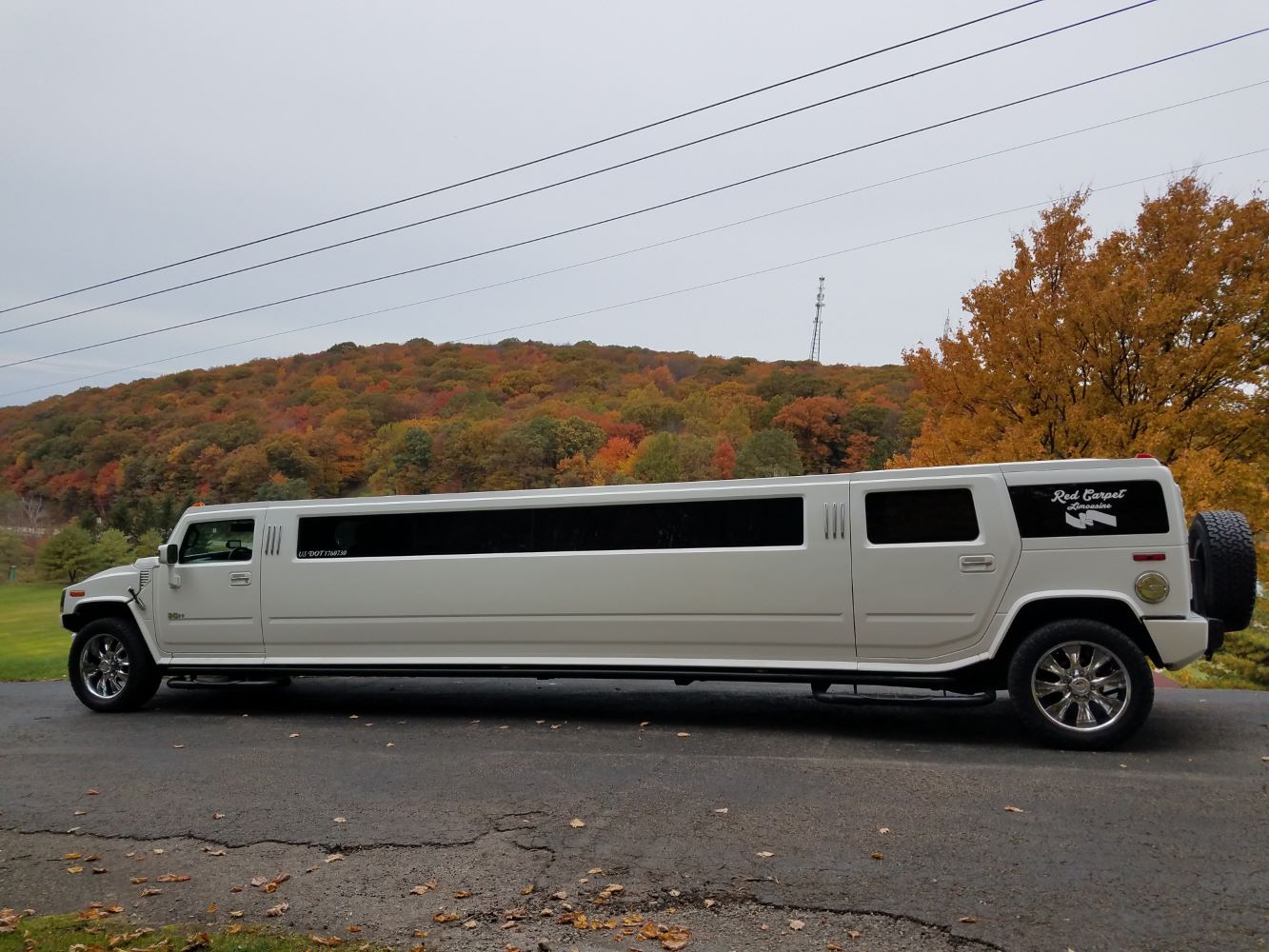 FLEET – Red Carpet Limousine